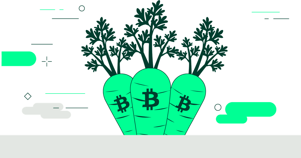 What is the Taproot upgrade?