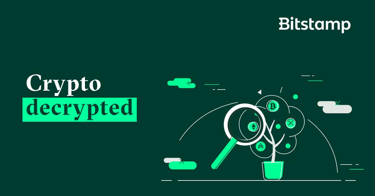 Guía de Criptomonedas - Aprende sobre Criptomonedas - Bitstamp by Robinhood